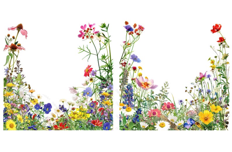 20 Watercolor Wildflower Borders. Set 5. Meadow Flowers and Grasses ...