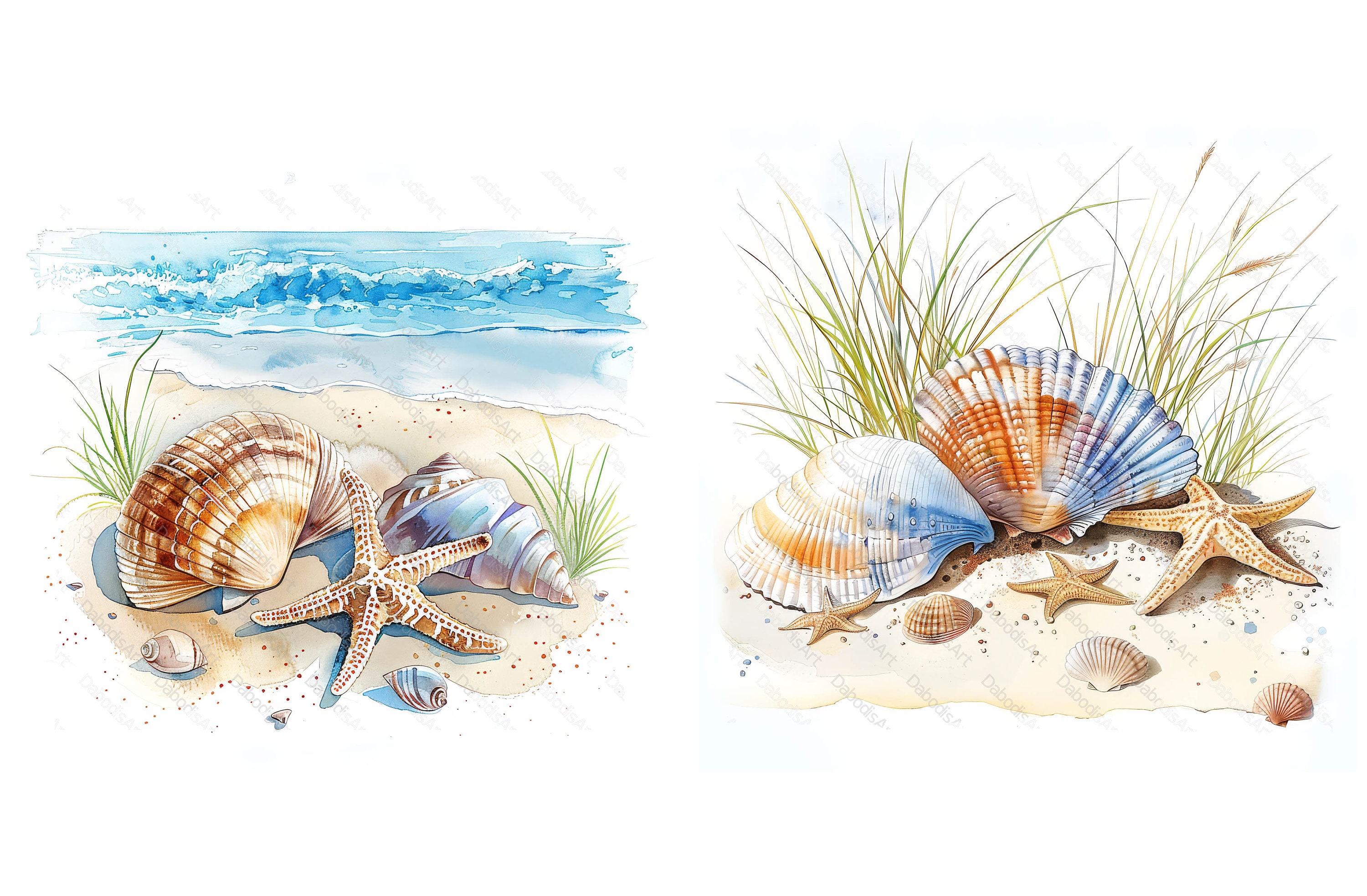 20 Watercolor Seashells Starfish. Beach Sand Summer Vacation Landscape ...
