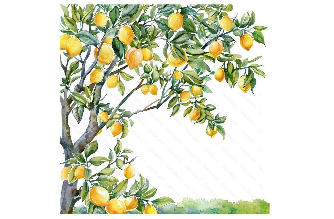 20 Watercolor Lemon Tree Border. Mediterranean Yellow Fruit Border ...