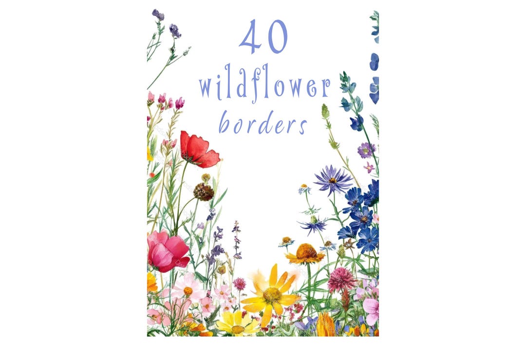 40 Watercolor Wildflower Borders. Set of 8. Meadow Flowers and Grasses ...