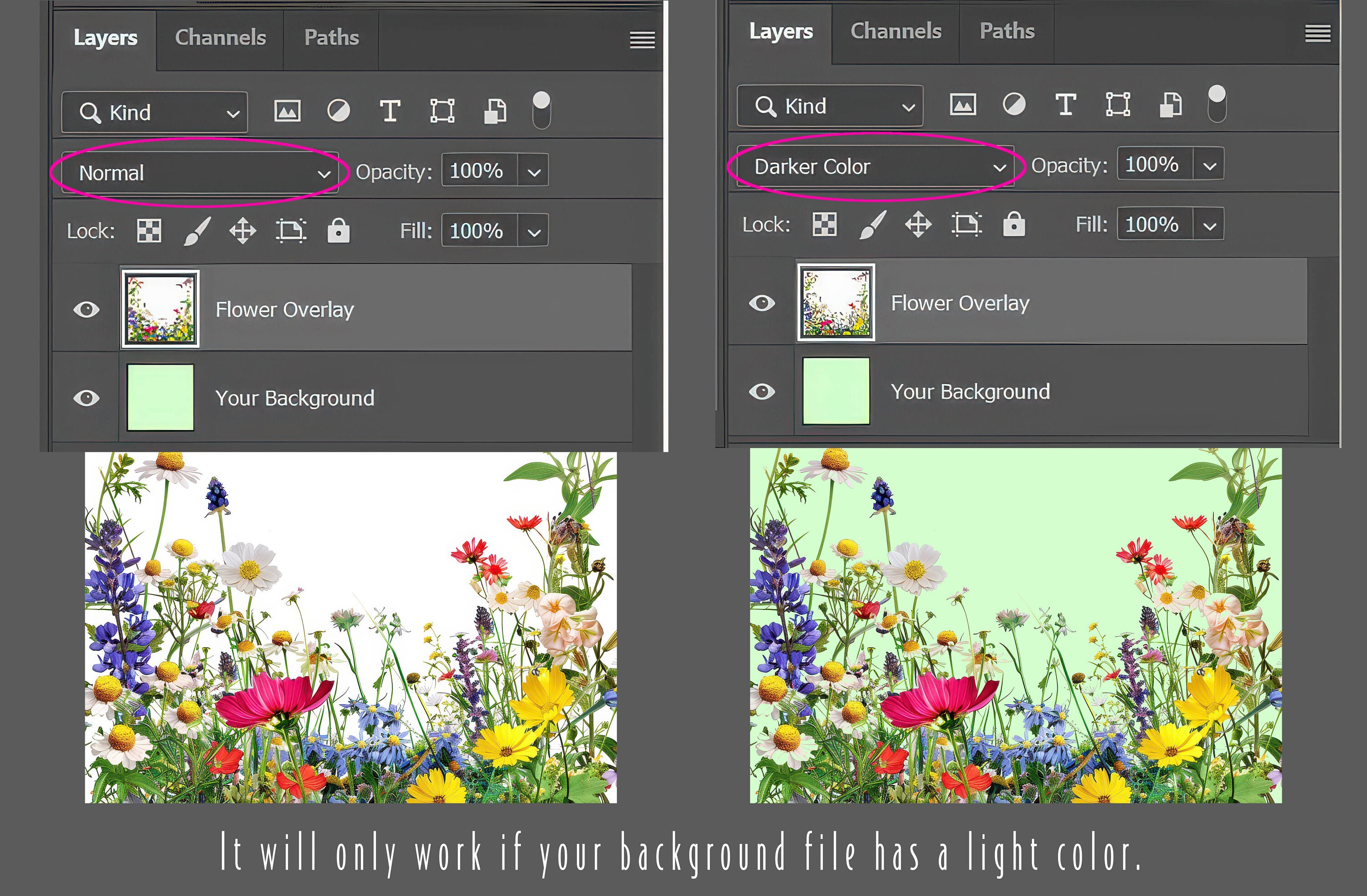20 Wildflower Borders. Set 3. Watercolor Meadow Flowers. Colorful ...