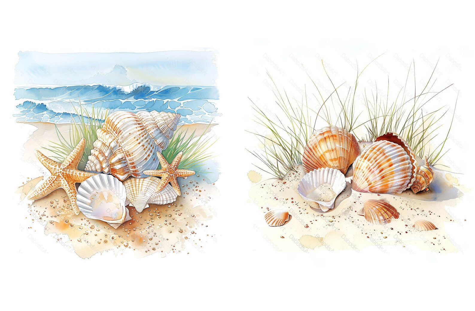 20 Watercolor Seashells Starfish. Beach Sand Summer Vacation Landscape ...