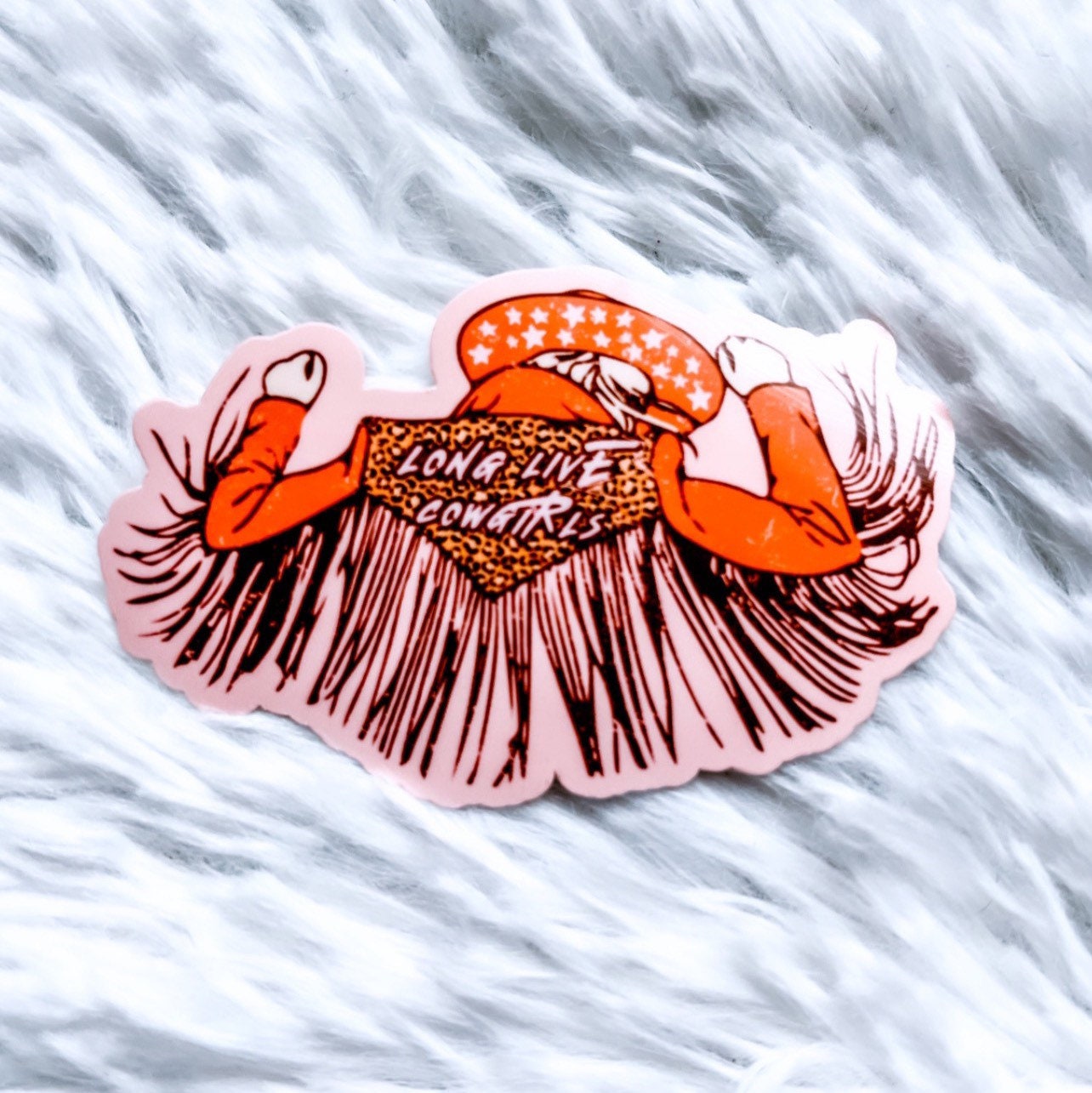 Western Sticker/ Cowboy/ Cowgirl/ Cows / Turquoise / Hippie/ Pink ...