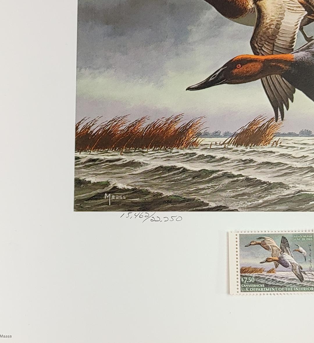 1982-83 Federal Duck Stamp Print Signedand Numbered With - Etsy