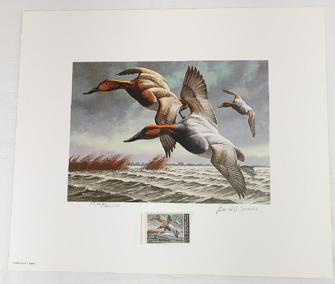 1982-83 Federal Duck Stamp Print Signedand Numbered With - Etsy