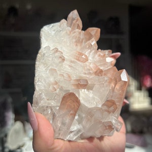 Scarlet Temple Pink Lemurian Quartz Cluster, Highest Quality, Beautiful ...