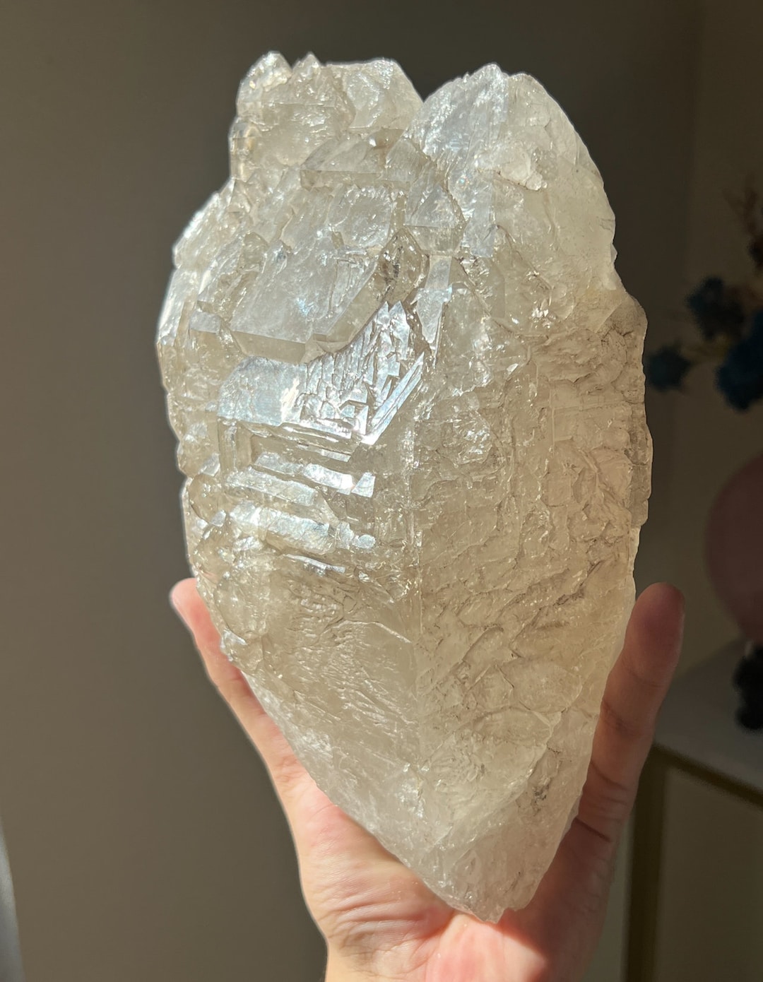 XL Elestial Smoky Crocodile Quartz ~ Crystal Natural Smoky Alligator ...