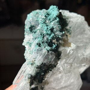 Incredibly Rare Optical Gypsum Twin Selenite With Chrysocolla, Druzy ...