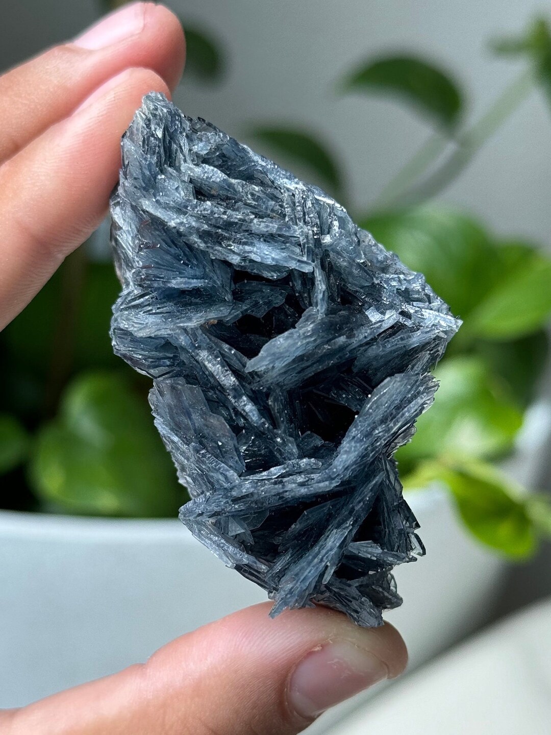 Stunning Aesthetic Deep Blue Gemmy Barite Flower Crystallized Bladed ...