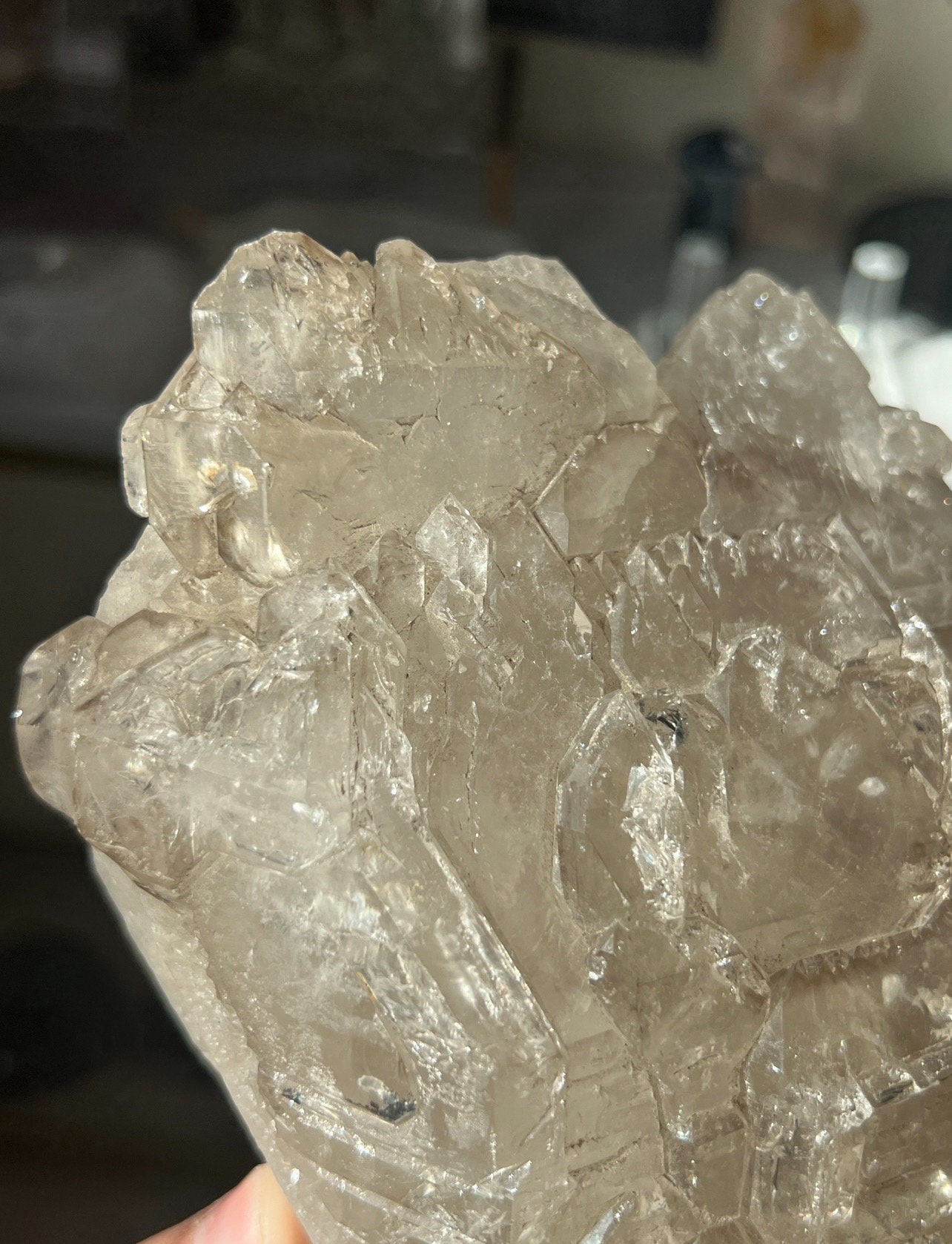 XL Elestial Smoky Crocodile Quartz ~ Crystal Natural Smoky Alligator ...