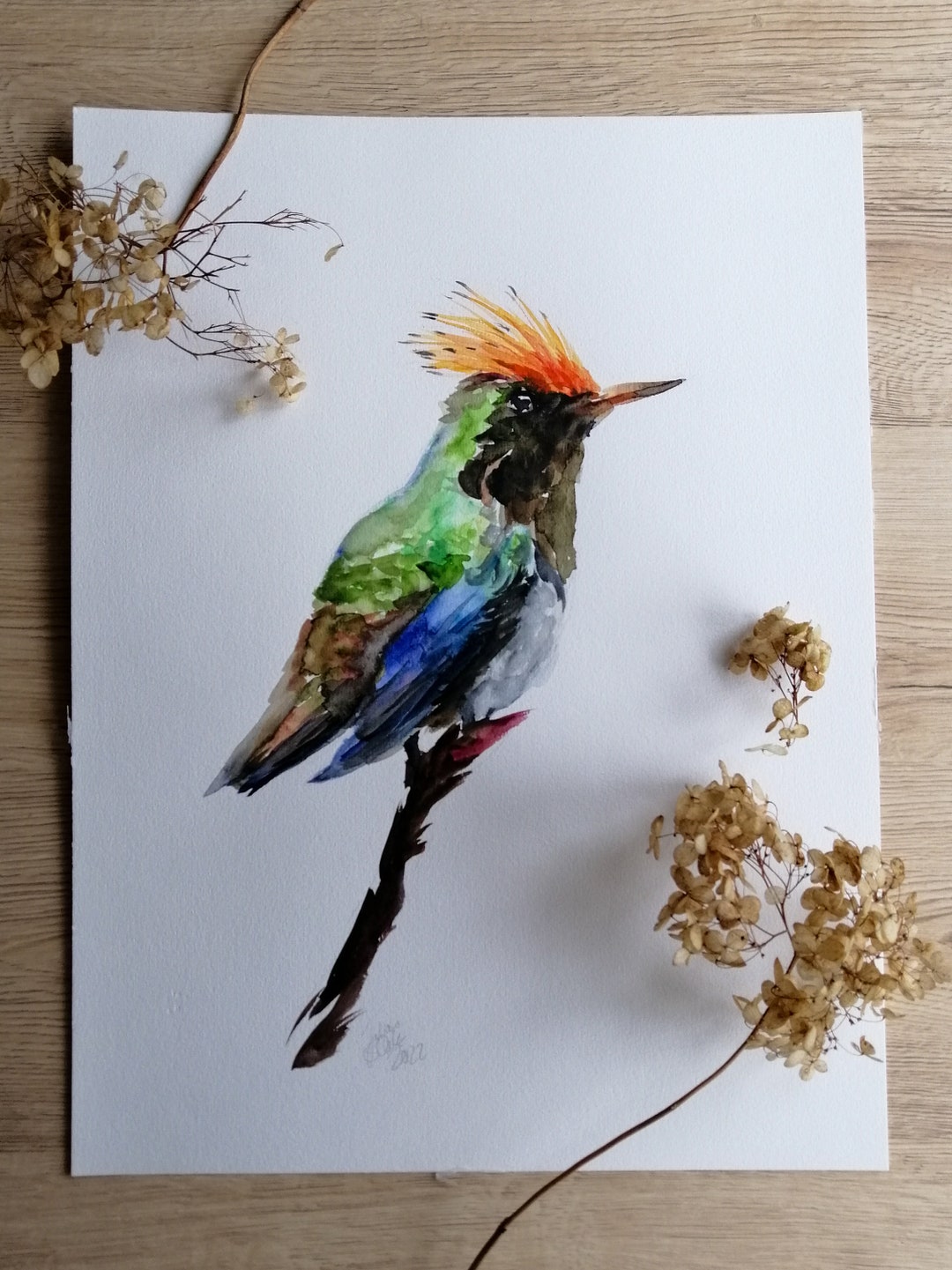 Decorative Elf Hummingbird Watercolor A3 ORIGINAL - Etsy