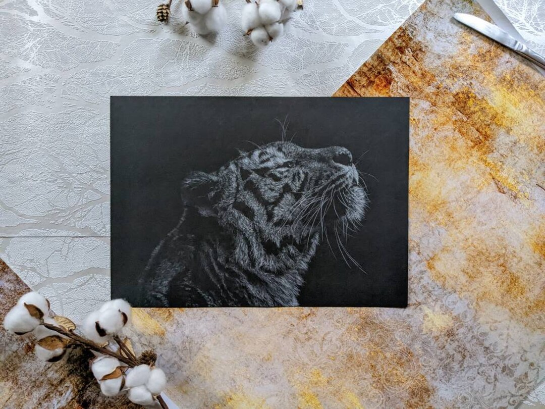 Tiger Study 2 A3 Monochrome Original - Etsy