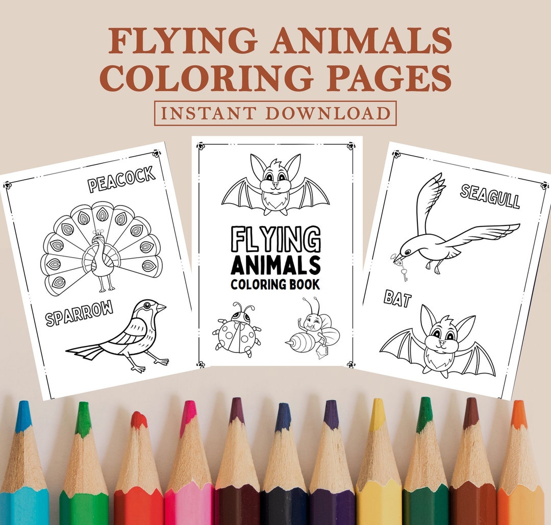 Flying Animals Coloring Pages for Kids Toddlers Preschoolers Toddlers ...