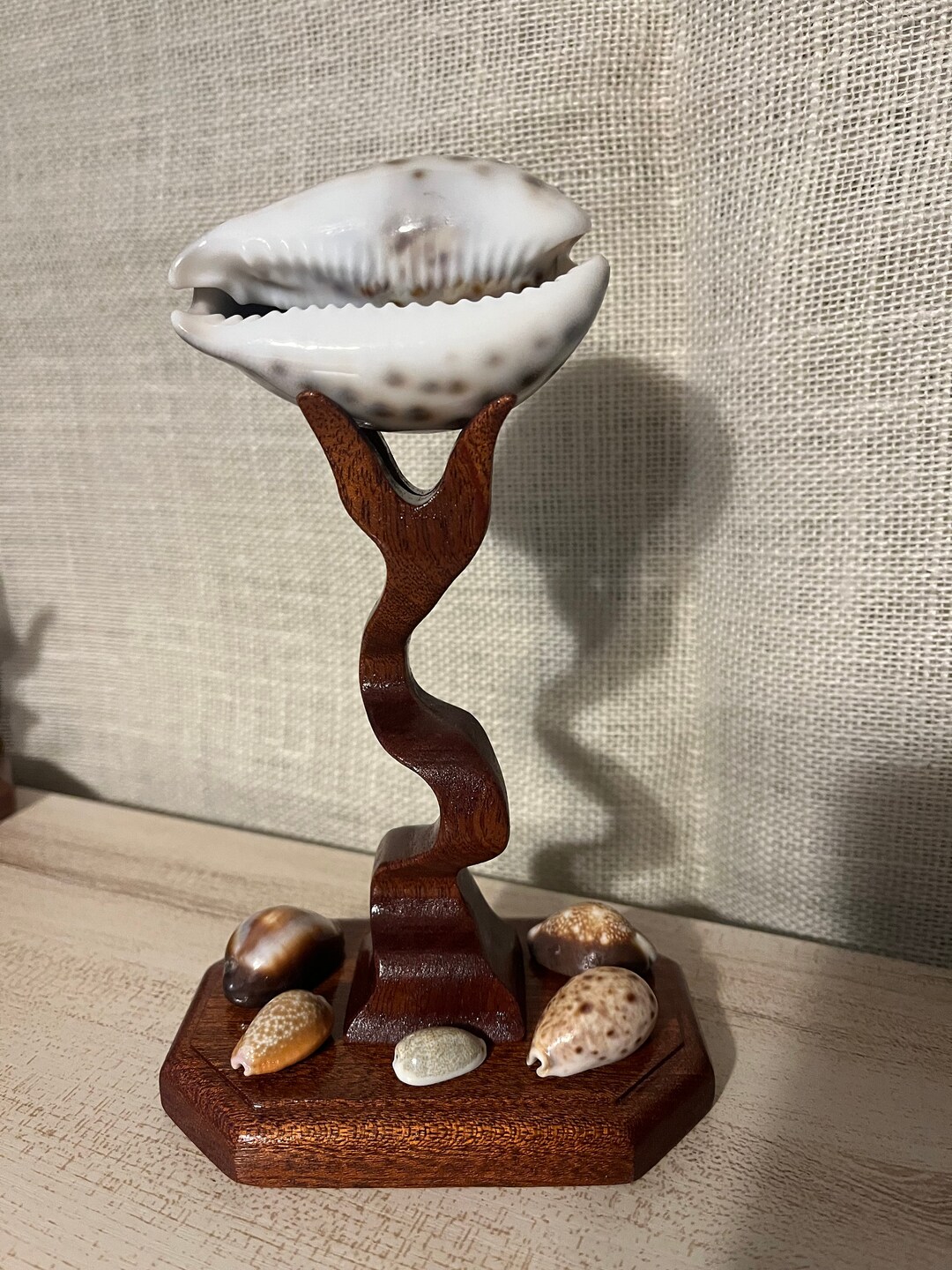 Shell/memorabilia Display Stand - Etsy