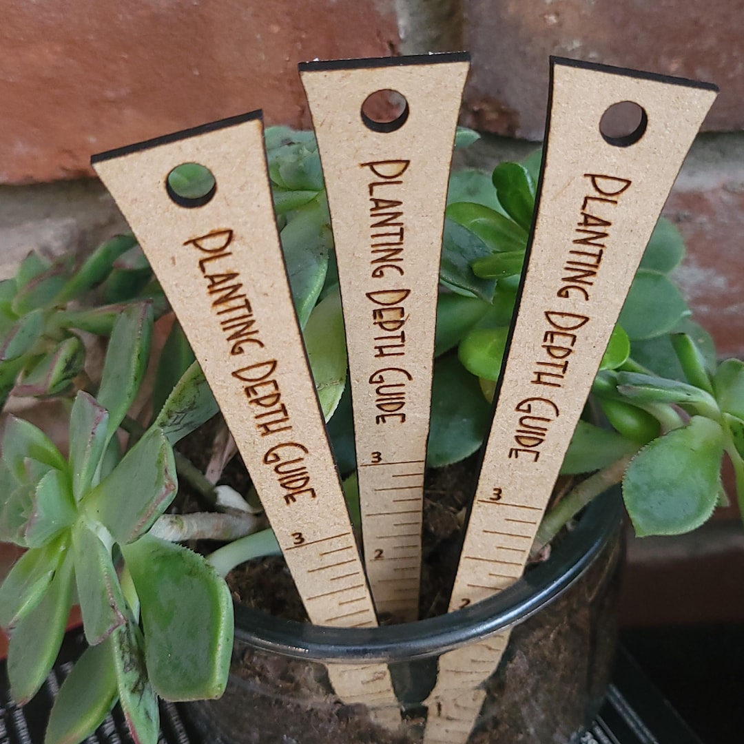 Laser Engraved Seed Depth Guide Set: Wooden Dibbler Planting Tool - Etsy