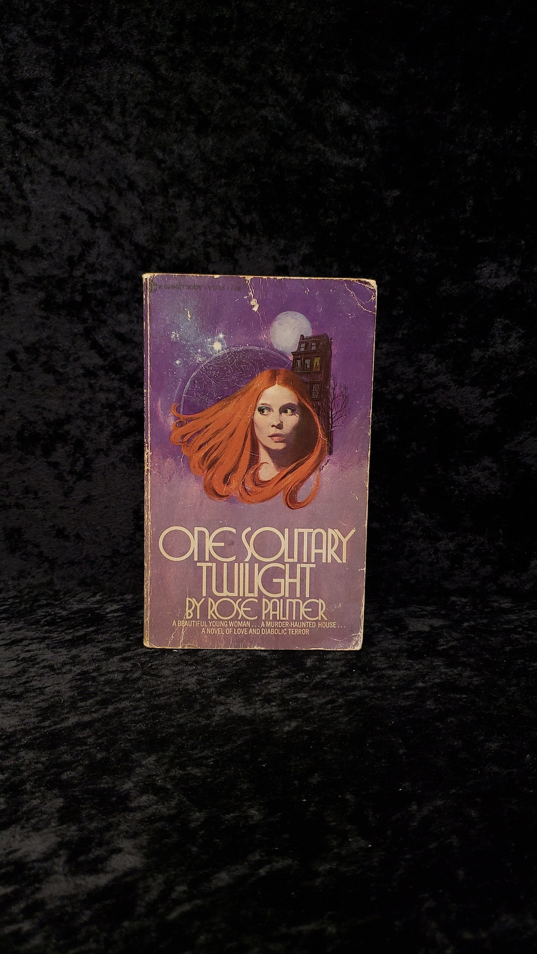 One Solitary Twilight by Rose Palmer - 1971 Vintage Gothic Romance ...
