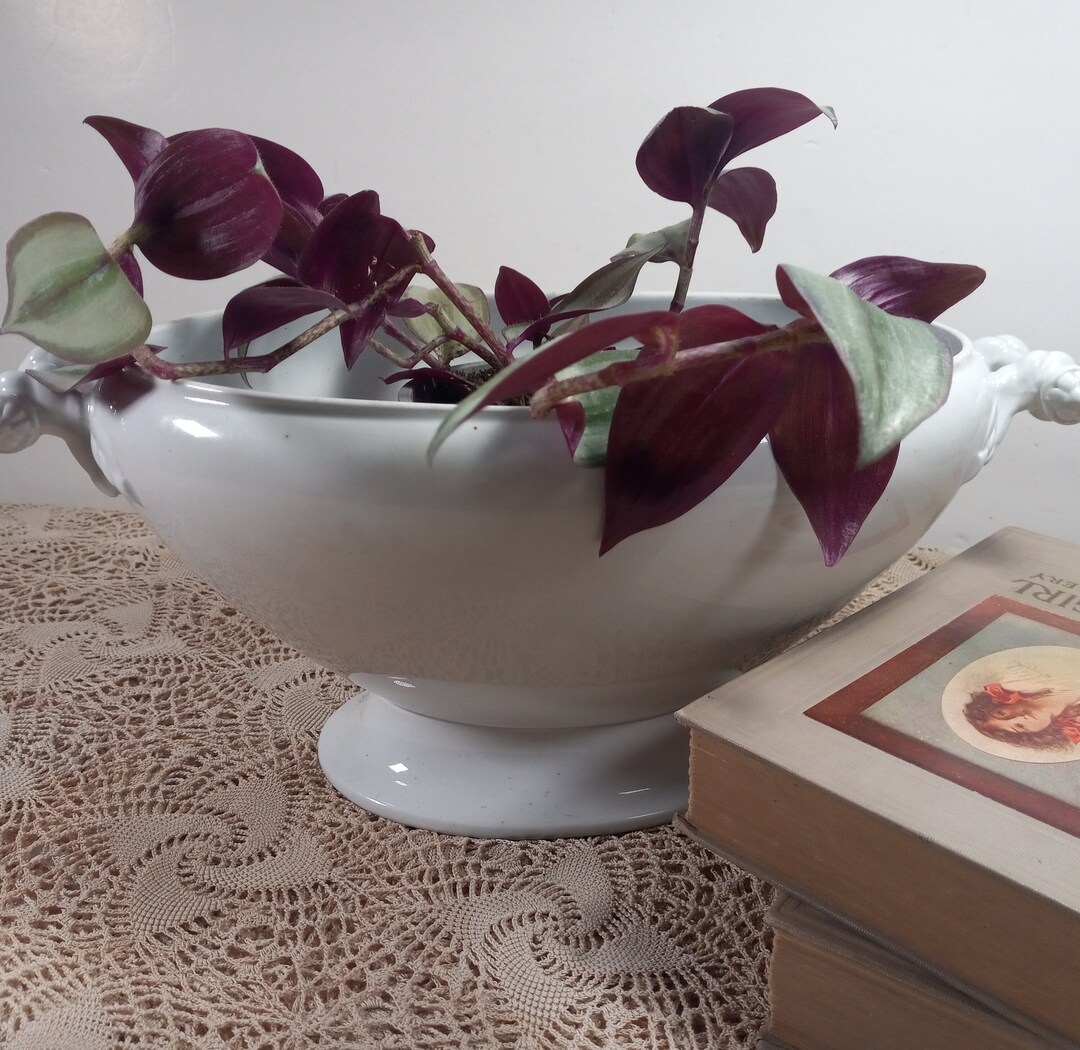 Thomas Furnival & Sons Ironstone Handled Tureen Circa 1880s, High ...