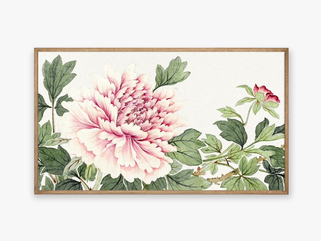 Samsung Frame TV Art | Vintage Pink Peonies Painting | Antique Floral ...
