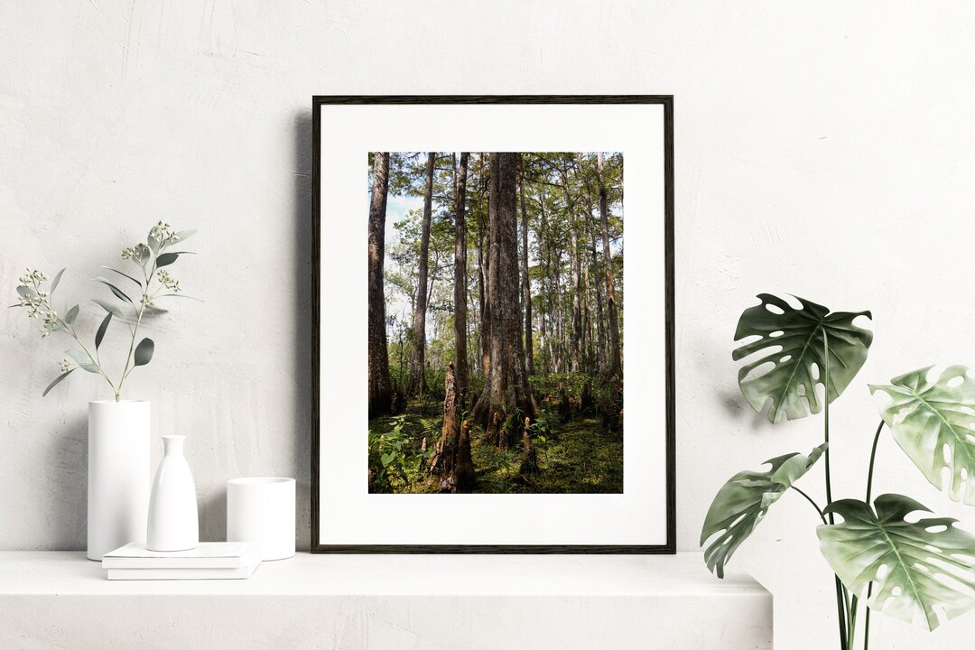 Louisiana Swamp Wall Art, Louisiana Swamp Print, Louisiana Wall Decor ...