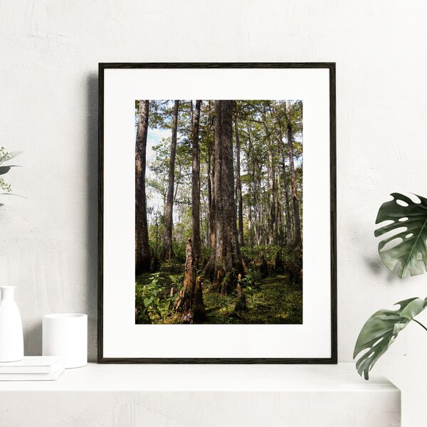 Swamp Art - Etsy