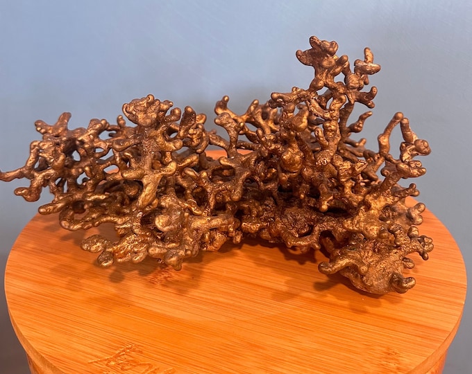 Fire Ant Hill Castings - Etsy Canada