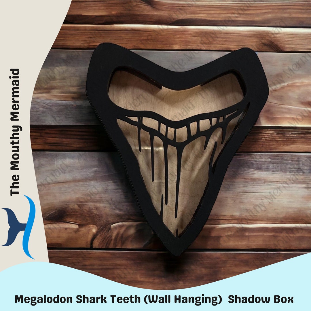 Shark Teeth MEGALODON (wall Hanging) Shadow Box for Shark Teeth, Small ...