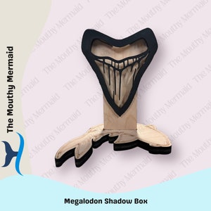 Shark Teeth MEGALODON Shadow Box for Shark Teeth, Small Shells, Fossils ...