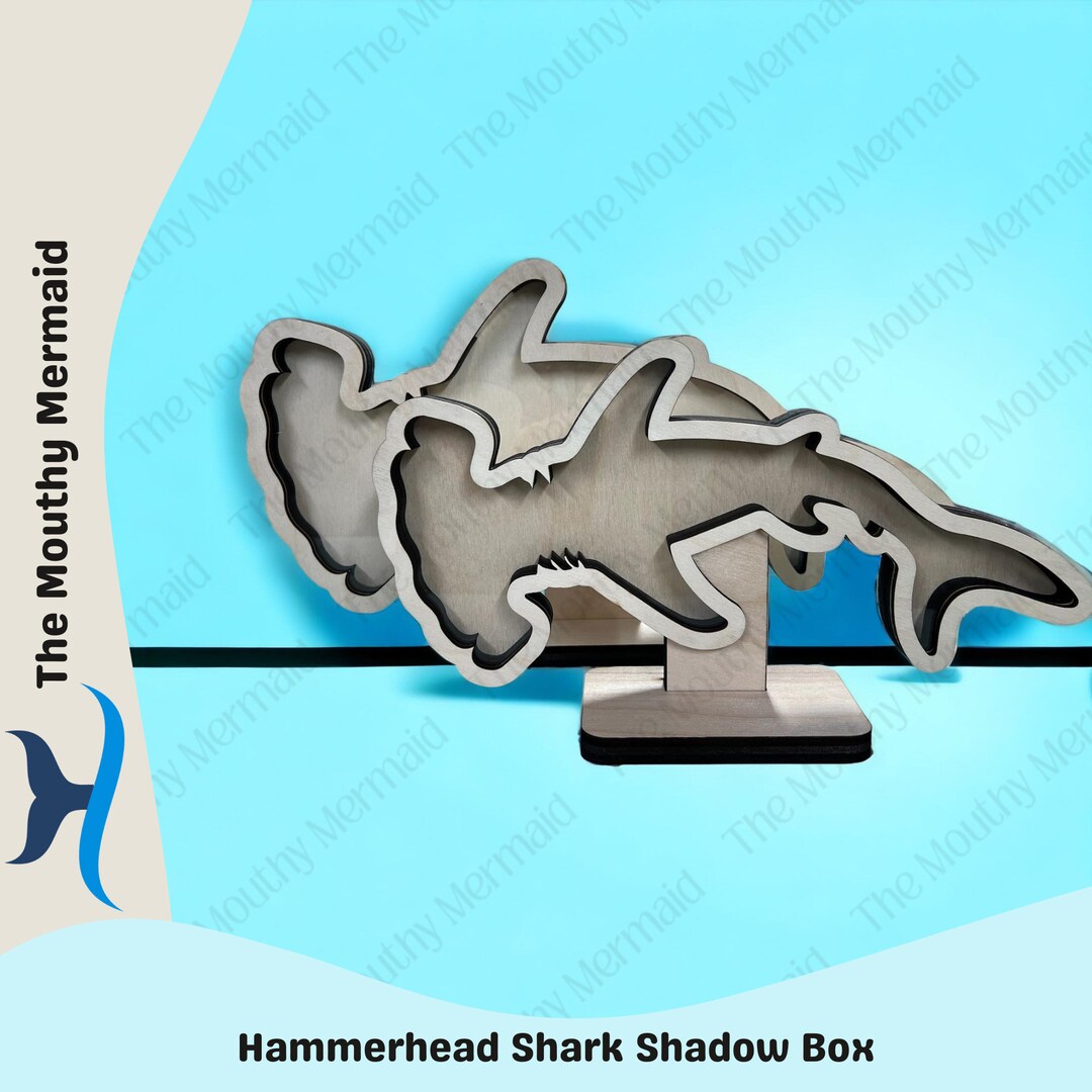 Hammerhead Shark Shadow Box for Shark Teeth, Small Shells, Fossils ...