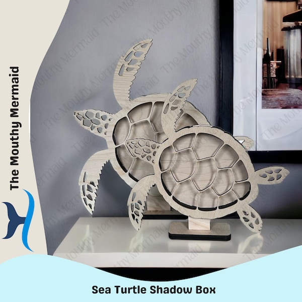 Seashell Display Box - Etsy