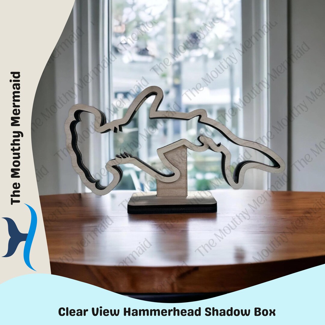 Clear View Hammerhead Shark Shadow Box for Shark Teeth, Small Shells ...