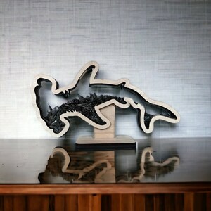 Clear View Hammerhead Shark Shadow Box for Shark Teeth, Small Shells ...