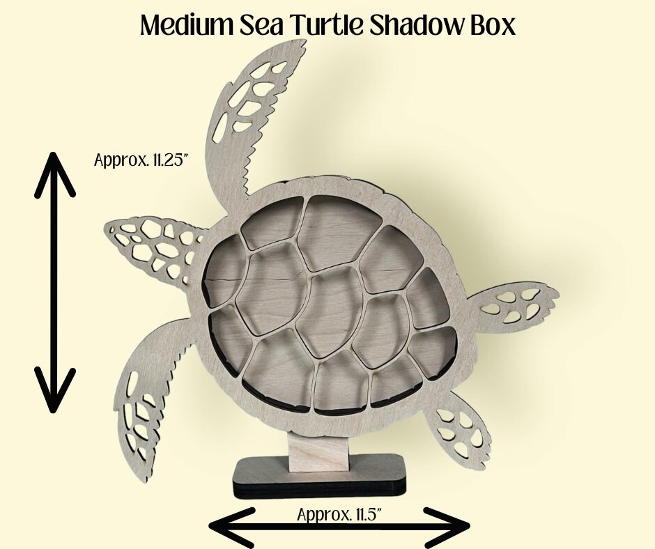 Sea Turtle Shadow Box for Shark Teeth Small Shells Fossils - Etsy