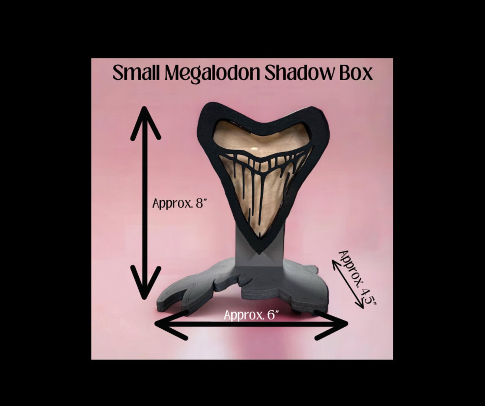 Shark Tooth Megalodon Shadow Box for Shark Teeth Small - Etsy