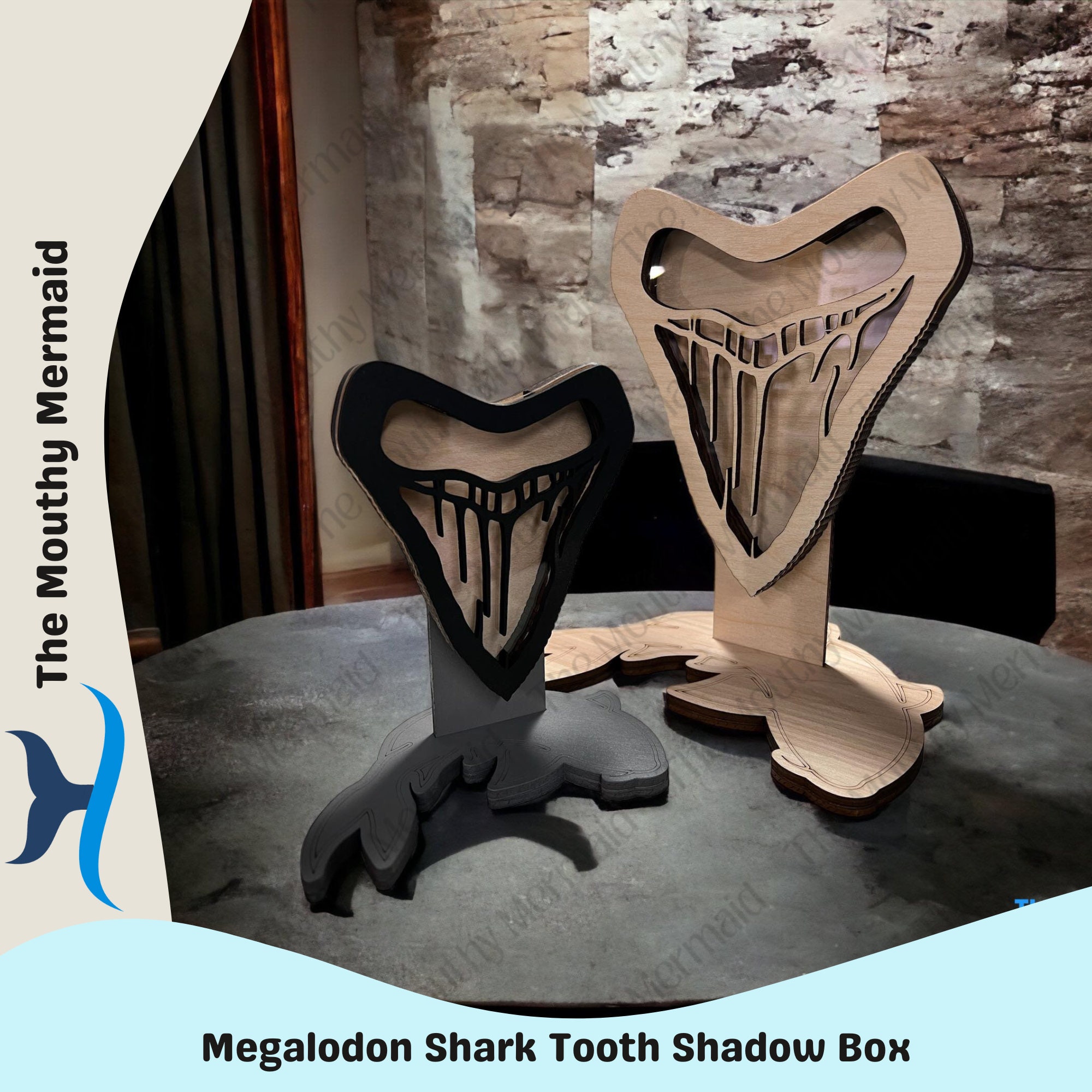 Shark Tooth MEGALODON Shadow Box for Shark Teeth Small - Etsy