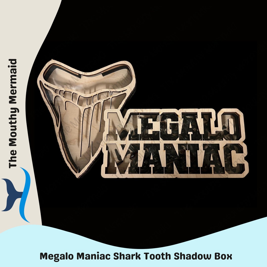 Megalo Maniac Megalodon Shadow Box for Shark Teeth, Small Shells ...