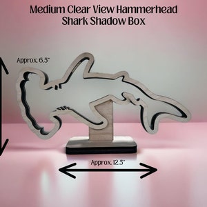 Clear View Hammerhead Shark Shadow Box for Shark Teeth, Small Shells ...
