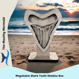 Shark Teeth MEGALODON Shadow Box for Shark Teeth, Small Shells, Fossils ...