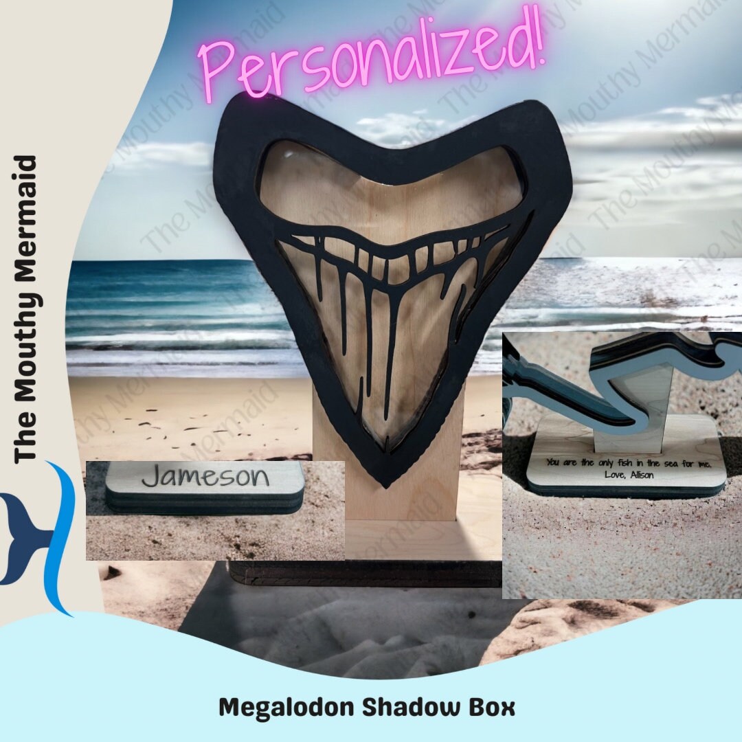 PERSONALIZED Shark Tooth MEGALODON Shadow Box for Shark Teeth, Small ...