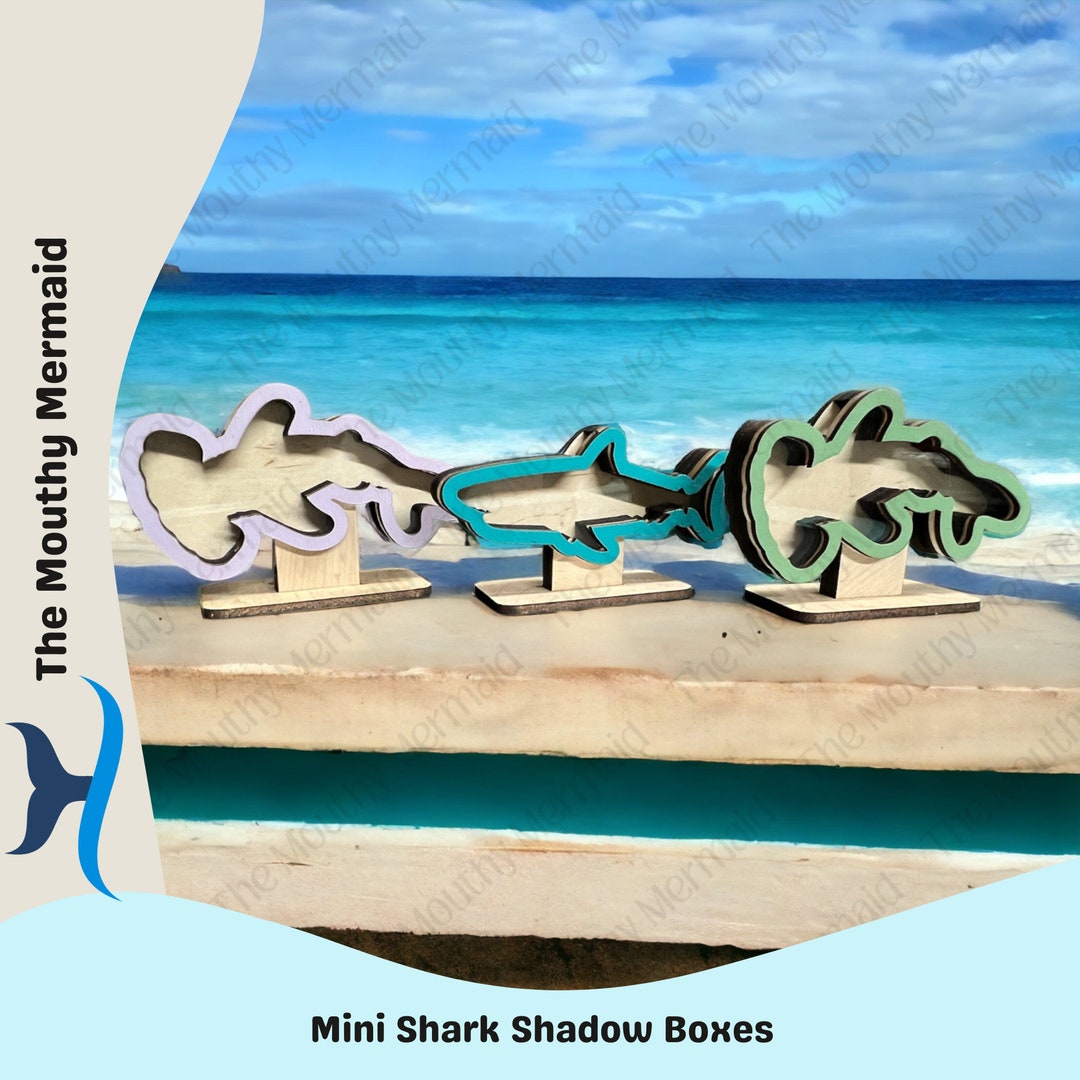 MINI Shark Shadow Boxes for Shark Teeth, Fossils, Agate Chips, Crystals ...