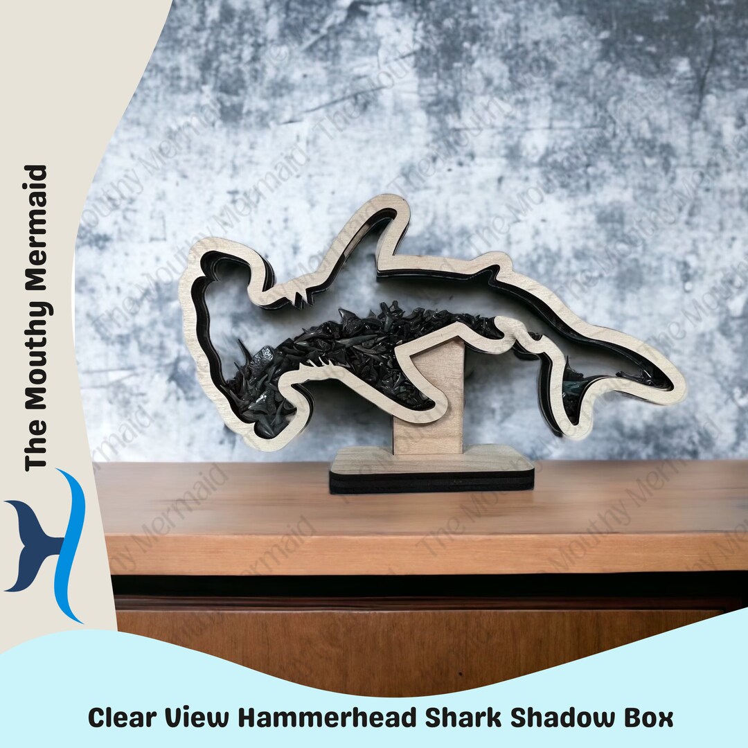 Clear View Hammerhead Shark Teeth Shadow Box for Shark Teeth, Small ...