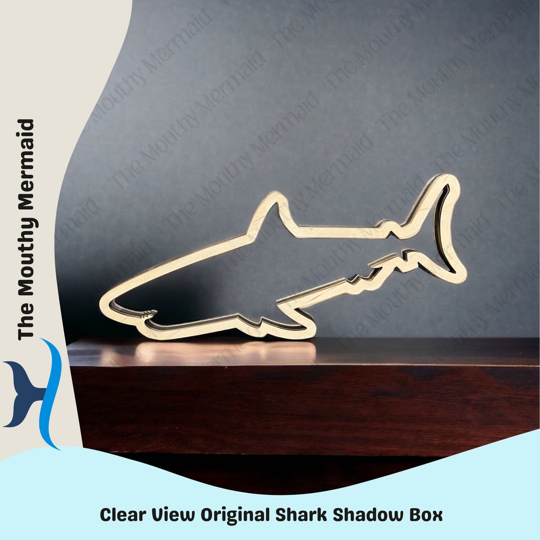 Clear View Original Shark Shadow Box for Shark Teeth, Small Shells ...