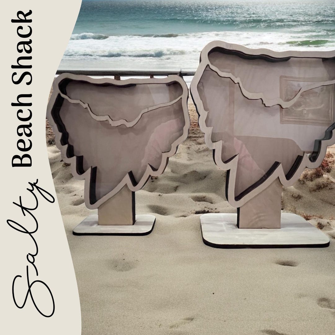 Nurse Shark Tooth Shadow Box for Shark Teeth, Small Seashells, Fossils ...