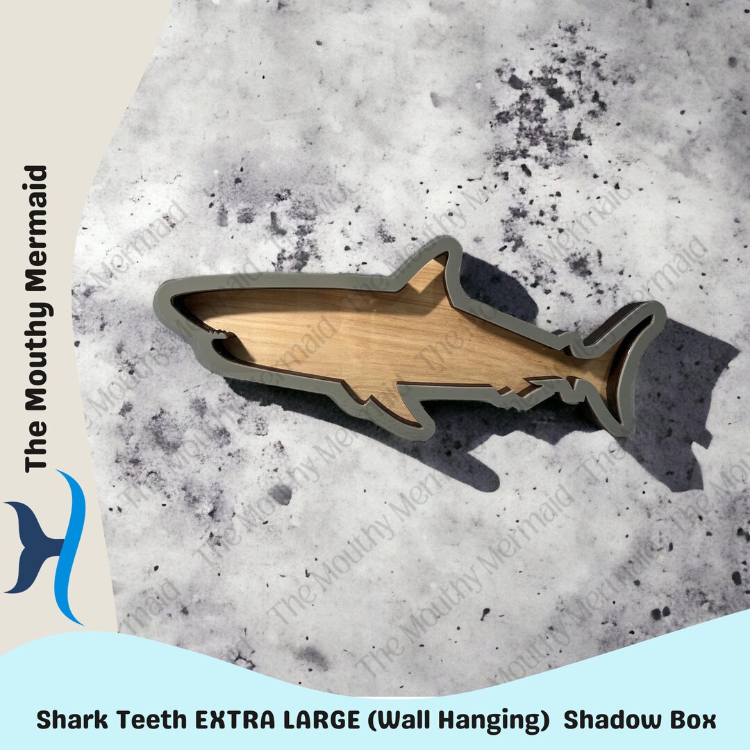 Shark Teeth wall Hanging EXTRA LARGE Shadow Box for Shark - Etsy