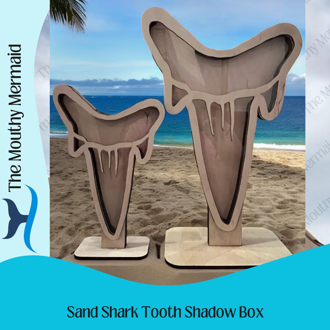 Sand Shark Tooth Shadow Box for Shark Teeth, Small Seashells, Fossils ...