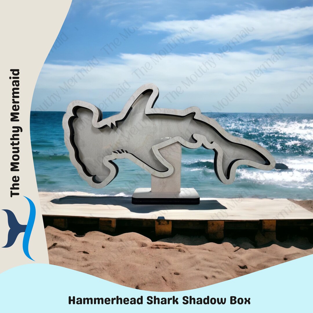 Hammerhead Shark Teeth Shadow Box for Shark Teeth, Small Shells ...