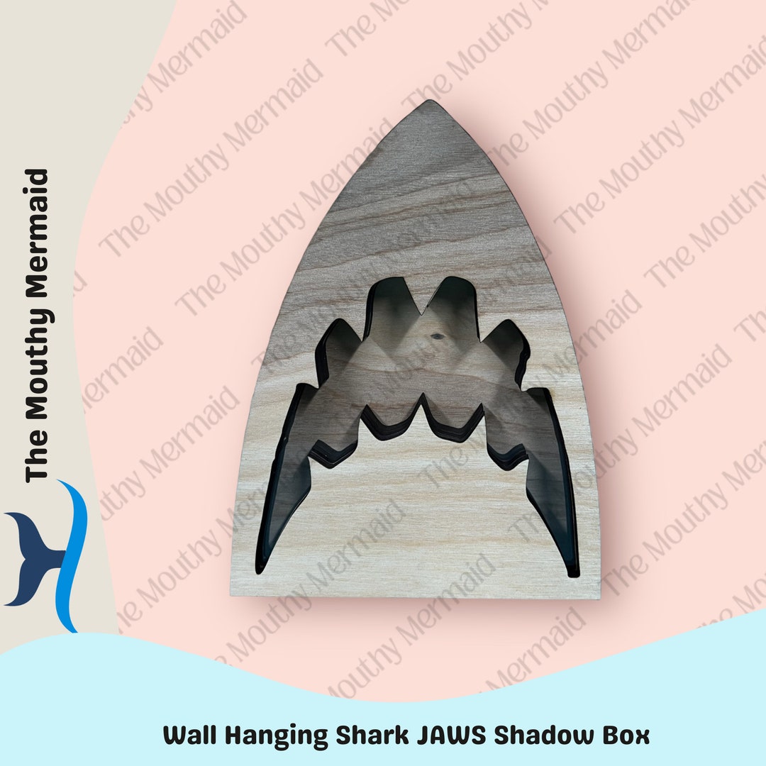 WALL HANGING Shark JAWS Shadow Box for Shark Teeth, Small Shells ...