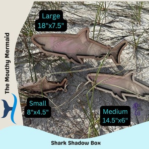 Shark Teeth Shadow Box for Shark Teeth, Small Shells, Fossils, Agates ...