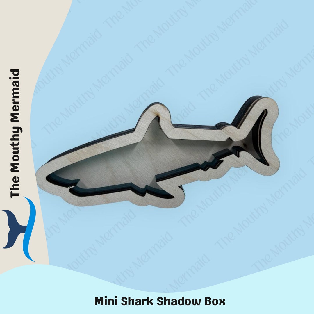 Shark Teeth Shadow Box MINI for Shark Teeth, Small Shells, Fossils ...