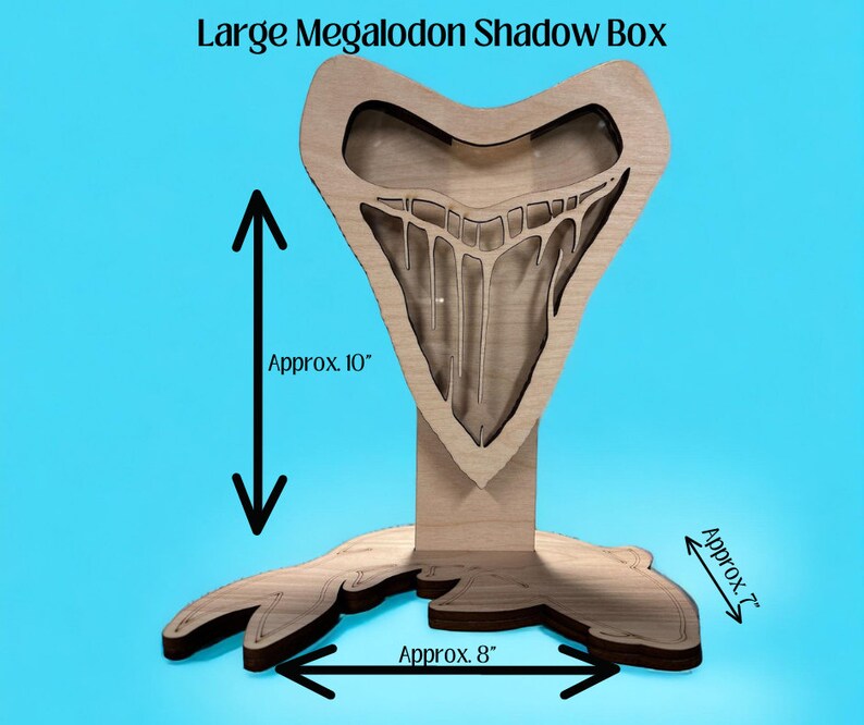 Shark Tooth MEGALODON Shadow Box for Shark Teeth Small - Etsy