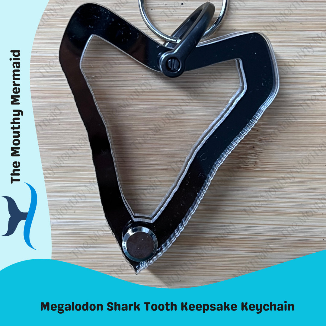 Megalodon Shark Tooth Keychain Fillable Keychain Shaker - Etsy